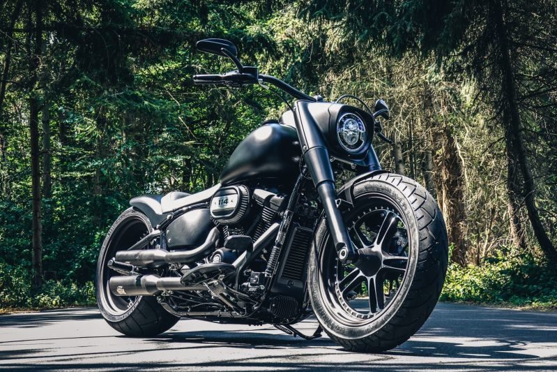 Harley Davidson Softail Fat Boy 'Deadly Fight' by Thunderbike