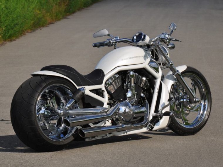 Harley Davidson V Rod "White Pearl" by Fredy motorcycles