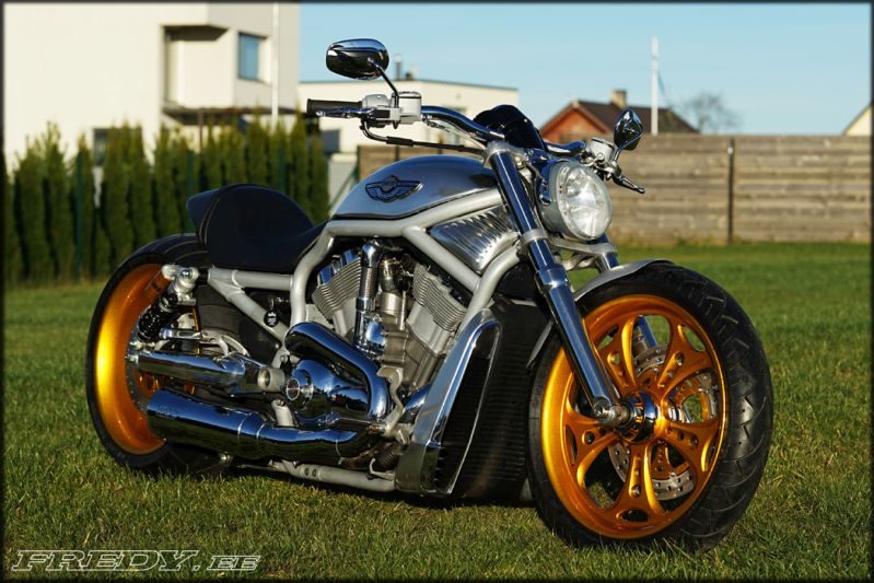 WOW! Harley-Davidson VRSCA V-Rod by Fredy