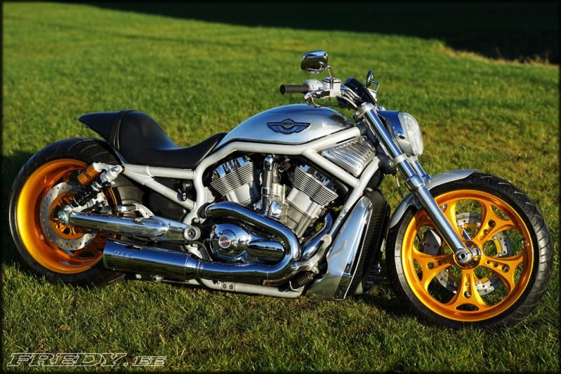 WOW! Harley-Davidson VRSCA V-Rod by Fredy motorcycles