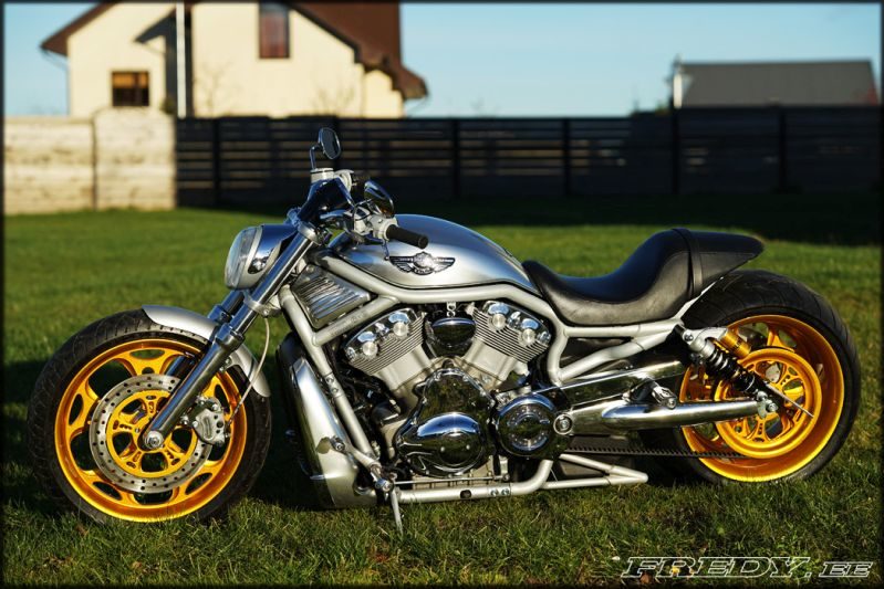 WOW! Harley-Davidson VRSCA V-Rod by Fredy
