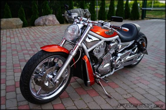WOW! Harley Davidson V-Rod Custom muscle by Fredy