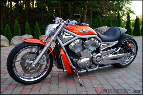 WOW! Harley Davidson V-Rod Custom muscle by Fredy