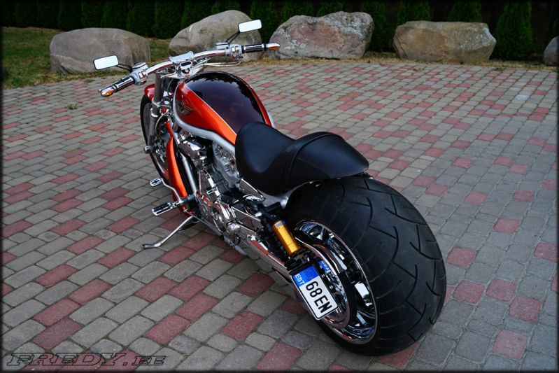 WOW! Harley Davidson V-Rod Custom muscle by Fredy