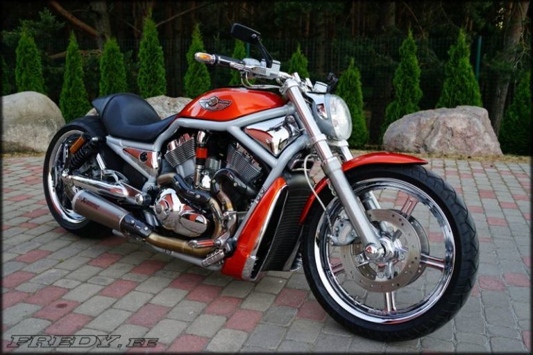 WOW! Harley Davidson V-Rod Custom muscle by Fredy