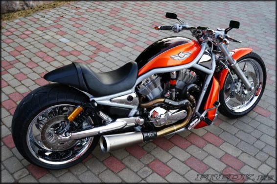 Harley Davidson V Rod 'Purple heart' by Fredy