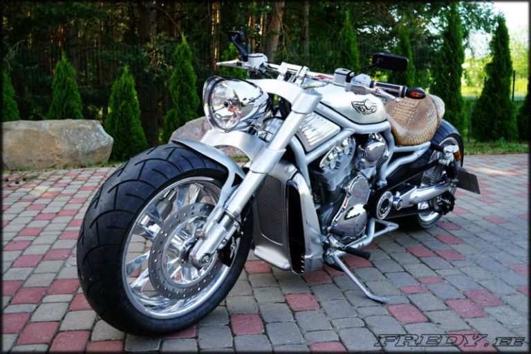 WOW! Harley-Davidson VRSCA V-Rod muscle "Leather" by Fredy