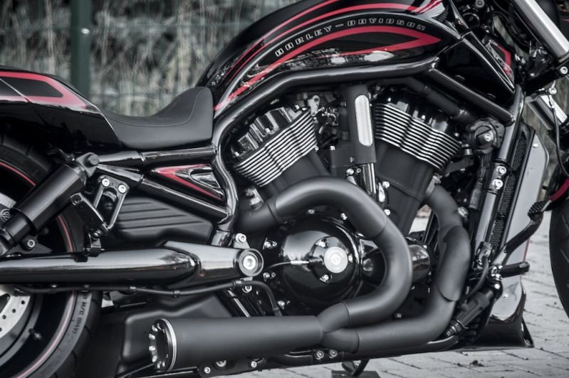 WOW! Harley VRSCDX Night Rod Special by Killer Custom