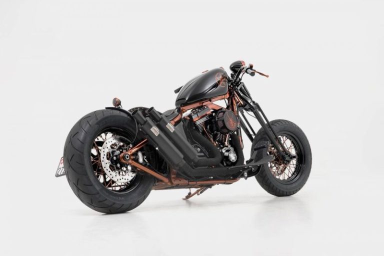 Harley Custom Springer Slim S "Gold Junge 2" by Bünderbike