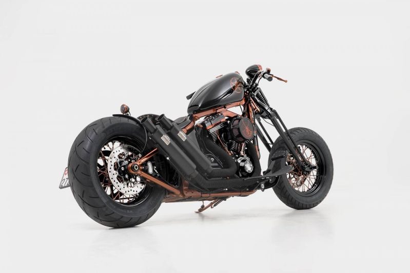 Harley Custom Softail Slim Springer "Copper Boy" by Bünderbike