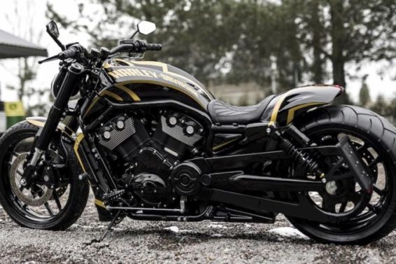 Harley Davidson V-Rod Custom "Gold" by Killer Custom