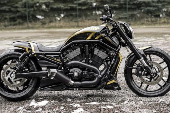 Harley Davidson V-Rod Custom "Gold" by Killer Custom