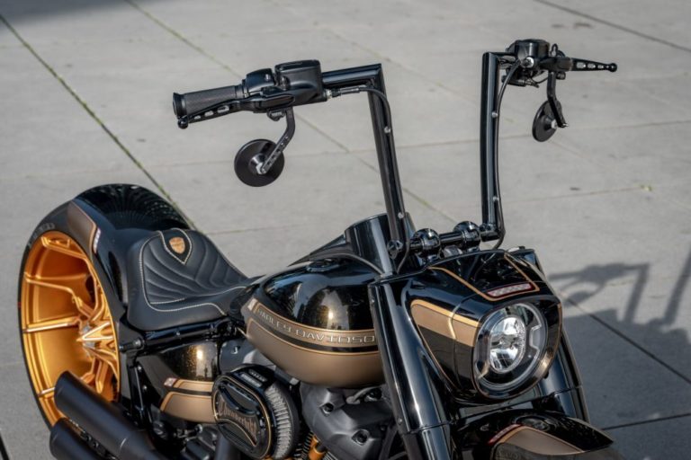 Harley-Davidson Fat Boy customized by Thunderbike