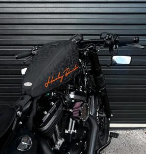 Harley-Davidson 48 Sportster 2020 by Limitless Customs