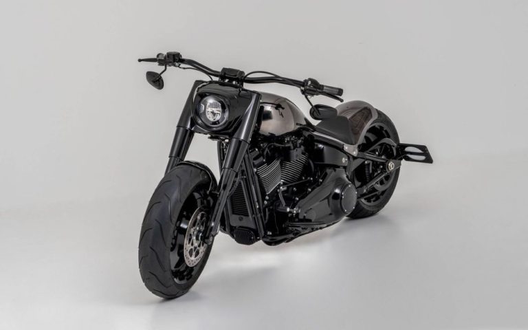 H-D Fat Boy - Custom bikes Reviews