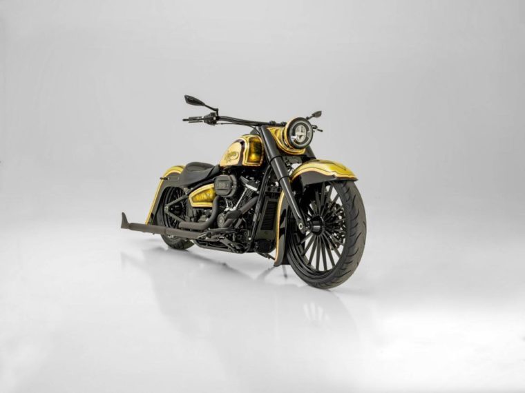 Harley-Davidson Heritage Softail 'Venom' by Bündnerbike