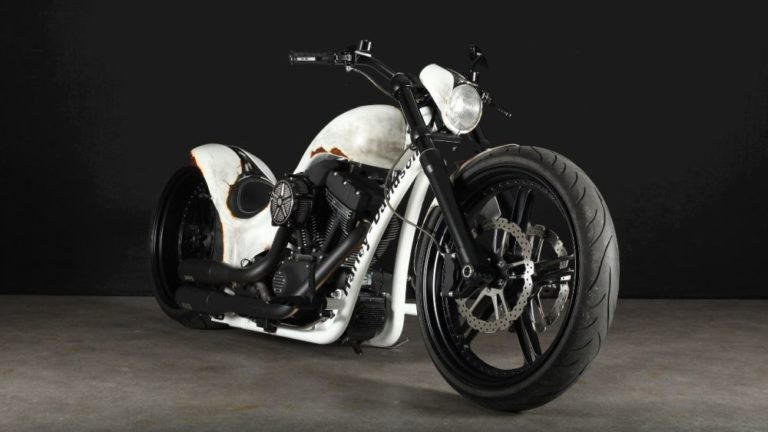 Harley-Davidson Softail 'Radical 110' by MotoTech