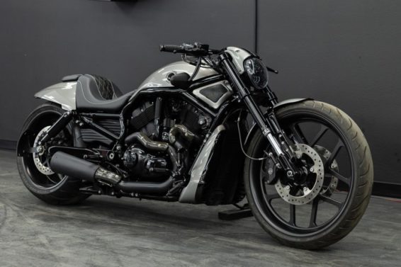 Harley-Davidson muscle 'Monty' by DD Designs