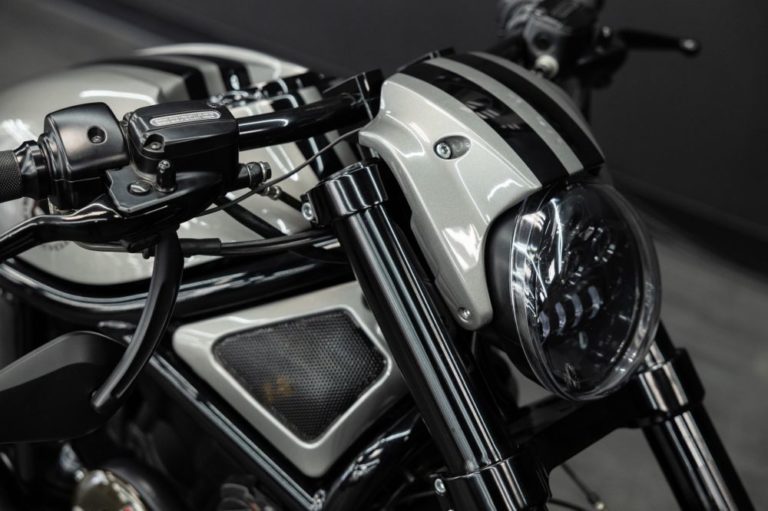 Harley-Davidson muscle 'Monty' by DD Designs