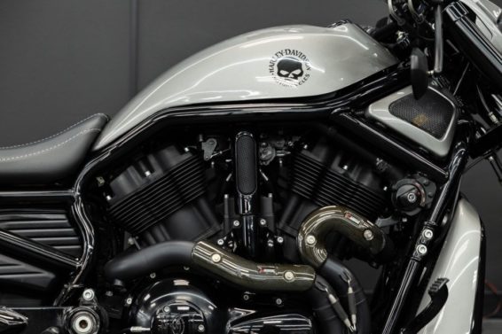 Harley-Davidson muscle 'Monty' by DD Designs