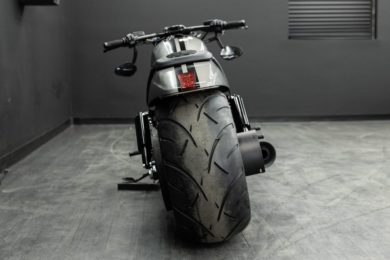 Harley-Davidson muscle 'Monty' by DD Designs