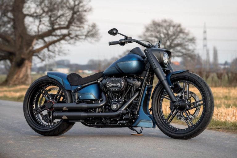 Harley-Davidson Fat Boy custom 'Viking force' by Thunderbike