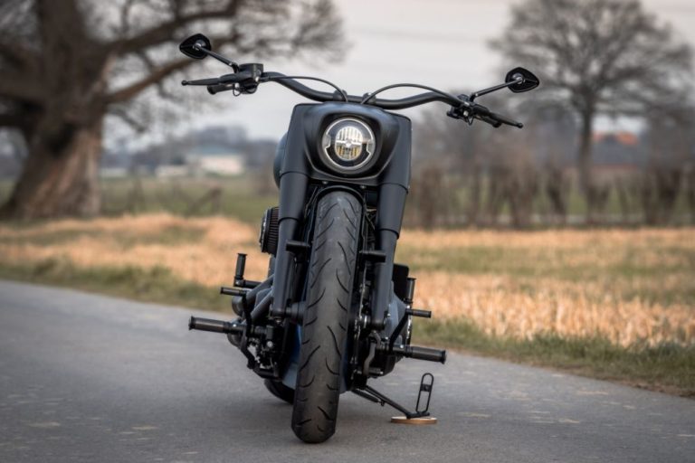 Harley-Davidson Fat Boy custom 'Viking force' by Thunderbike