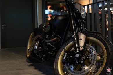 Walz Hardcore Cycles 'Black falcon' by Walz Cycles