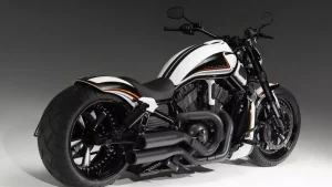 Harley-Davidson Night Rod Special custom for sale