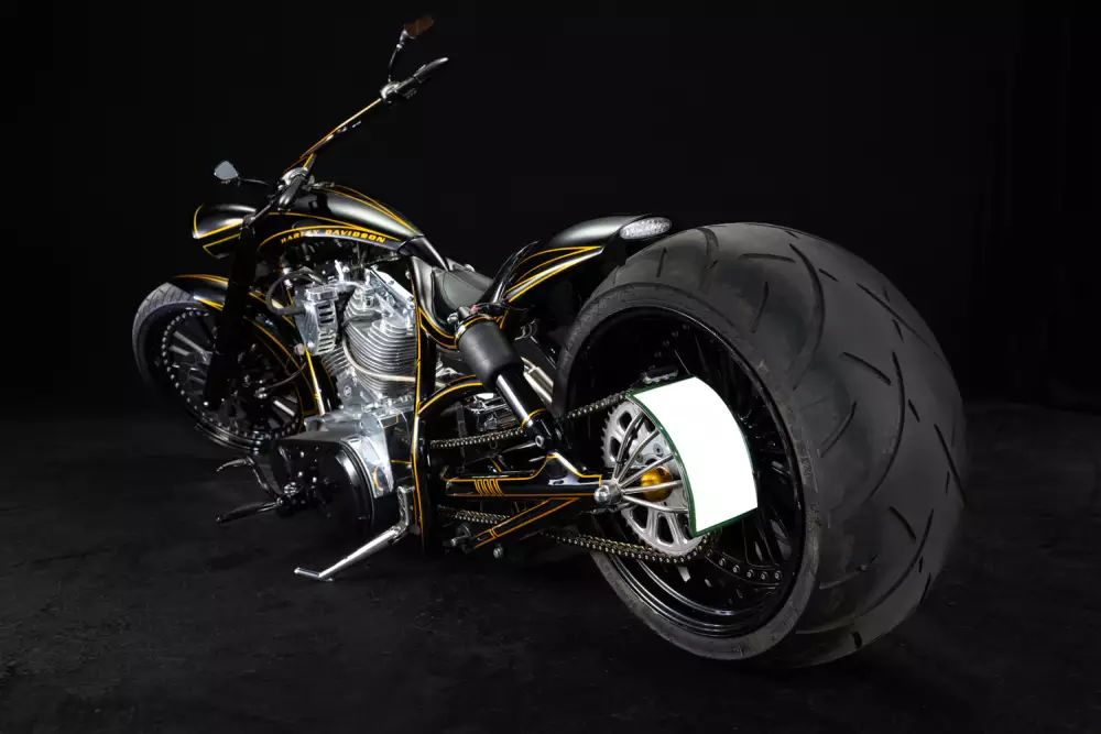 TwinCam Dyna Custom 'Tiger' by Bad Land