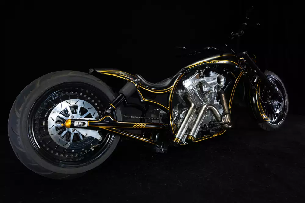 TwinCam Dyna Custom 'Tiger' by Bad Land